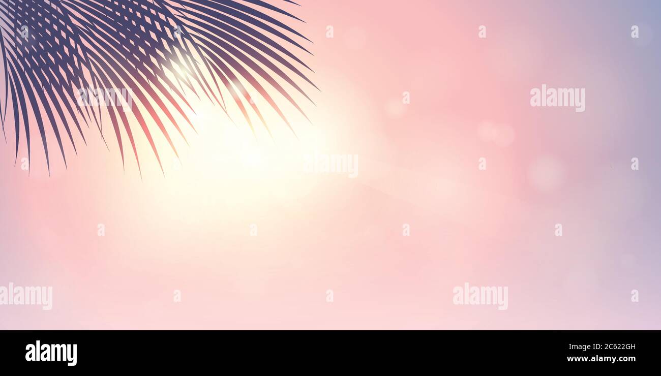 Silhouette trees on coastline Stock Vector Images - Alamy