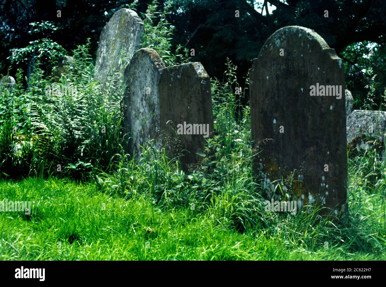 Grass around gravestones hi-res stock photography and images - Alamy