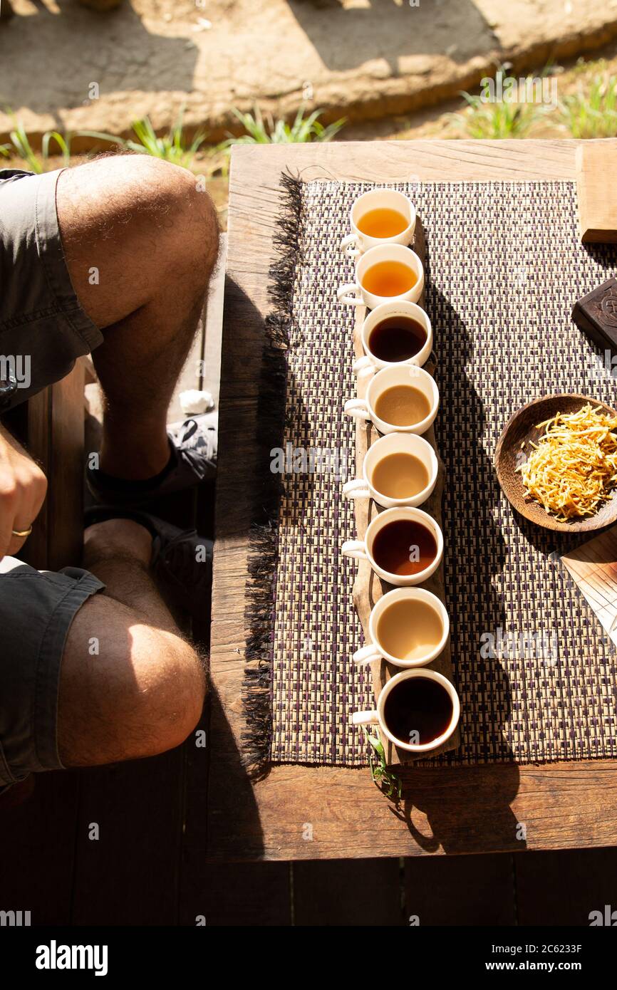 Tourist sat to taste eight different kinds of indonesian coffee at a ...