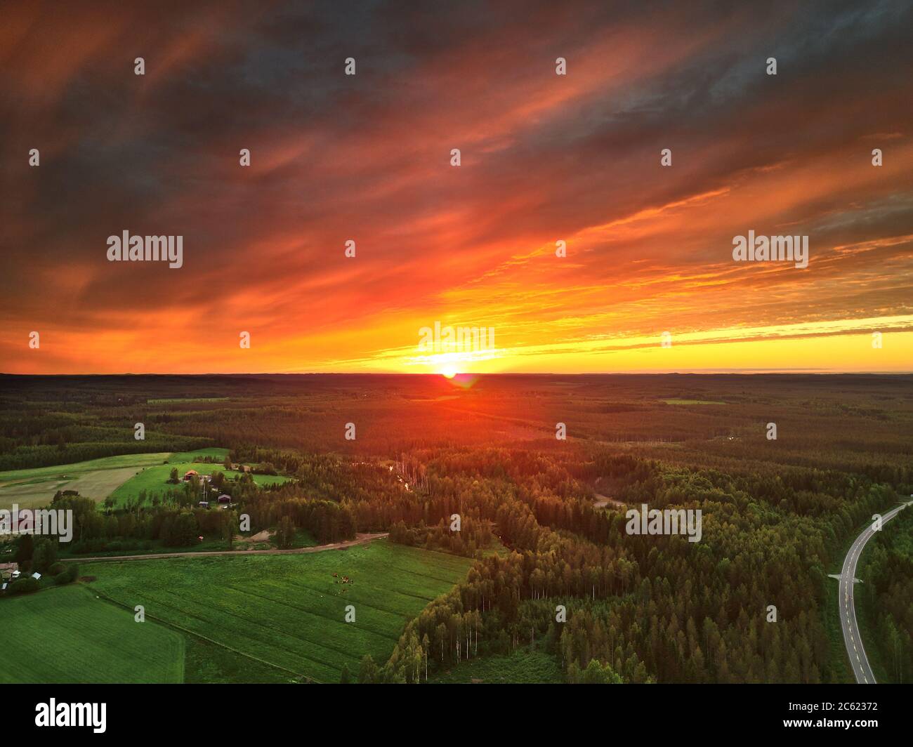 Aerial view of a forest hi-res stock photography and images - Alamy