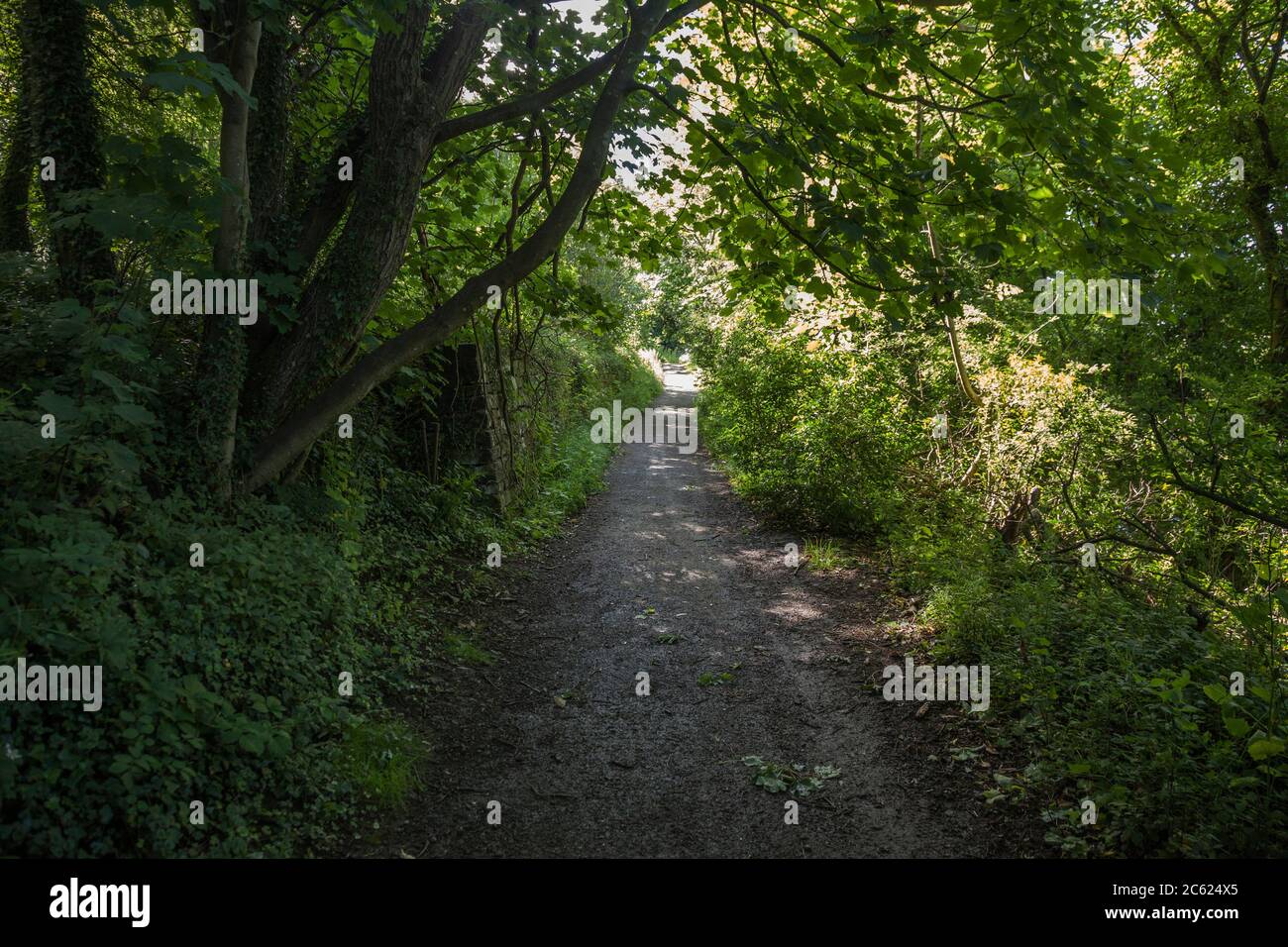 Path leading to the River Tees at Barnard Castle,England,UK. Visited by ...