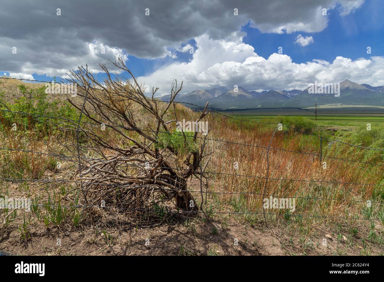 Dead fence hi-res stock photography and images - Alamy