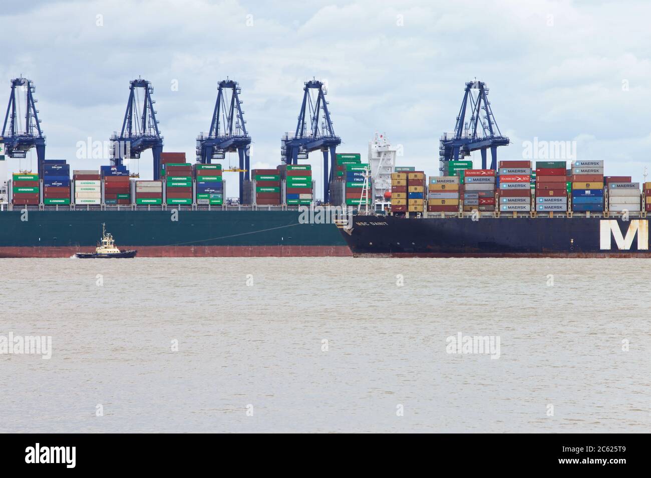 Container ship MSC Danit entering the Port of Felixstowe, Suffolk, UK ...