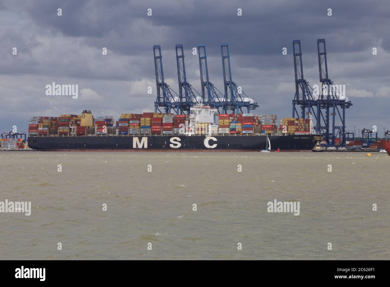 Container ship MSC Danit docked at the Port of Felixstowe, Suffolk, UK ...