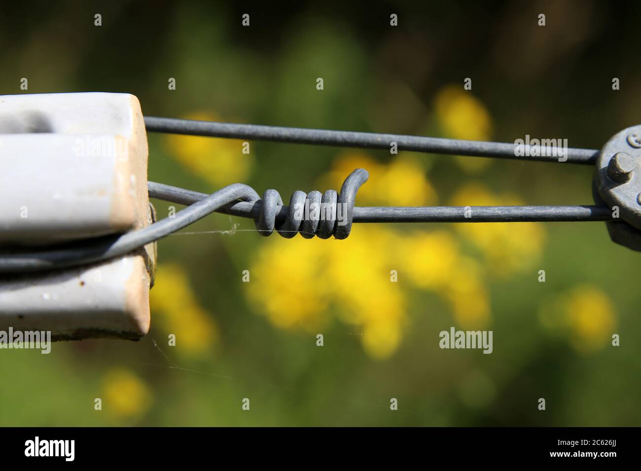 close up of a electrical wire fence around a pasture Stock Photo - Alamy