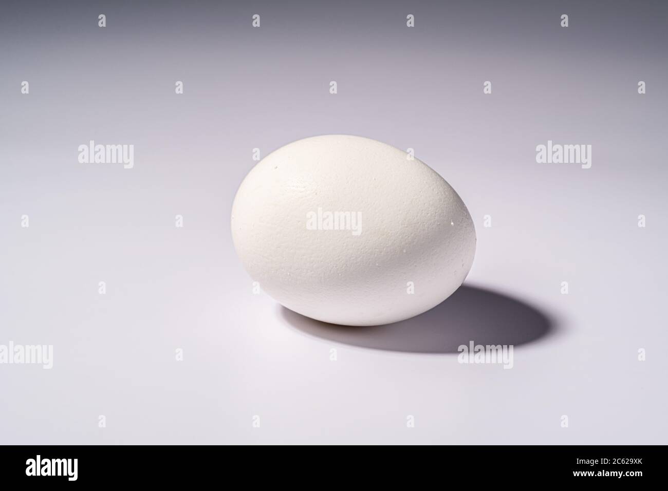 Single white egg hi-res stock photography and images - Alamy