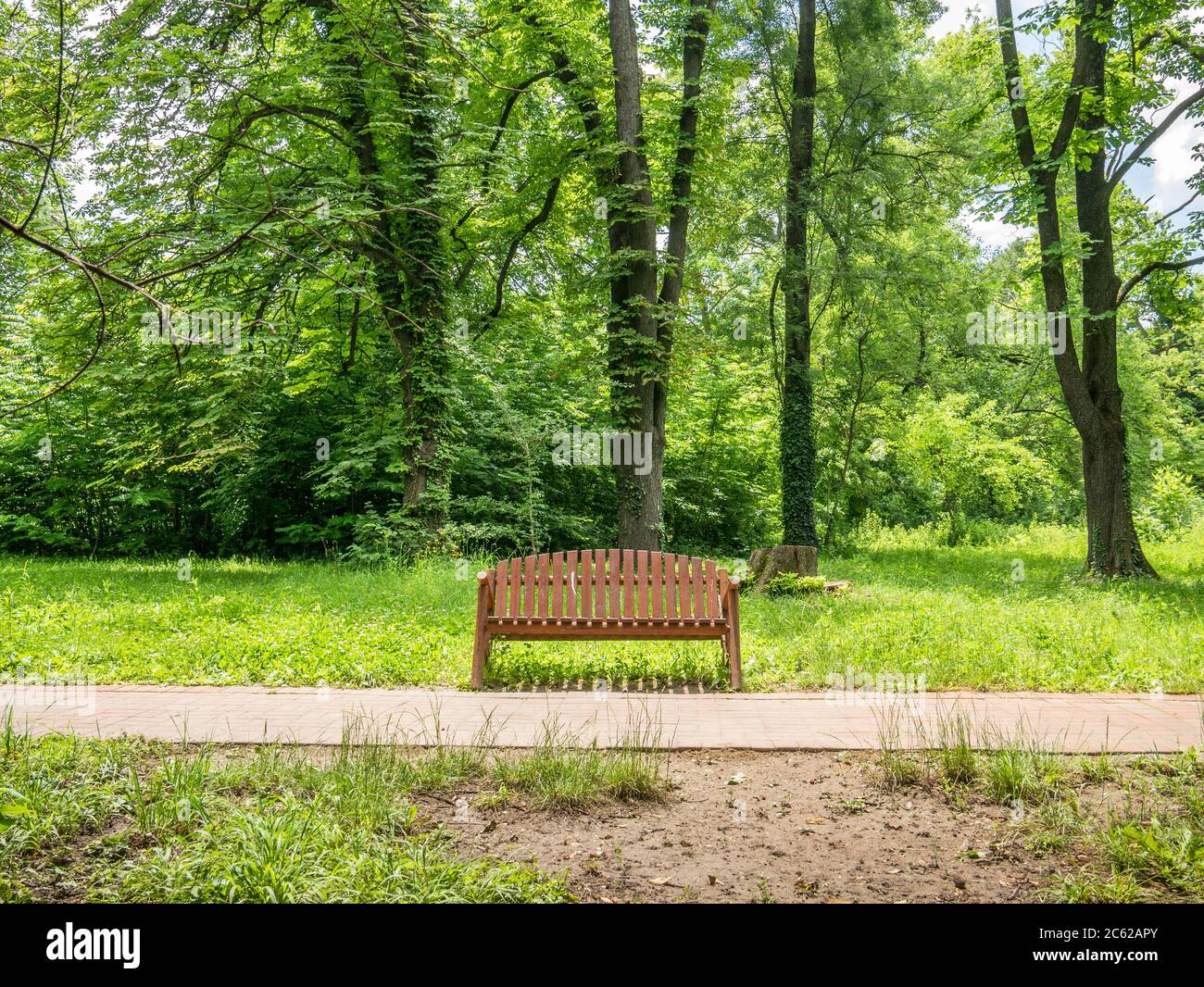 Single isolated bench in a park with green trees in the background ...