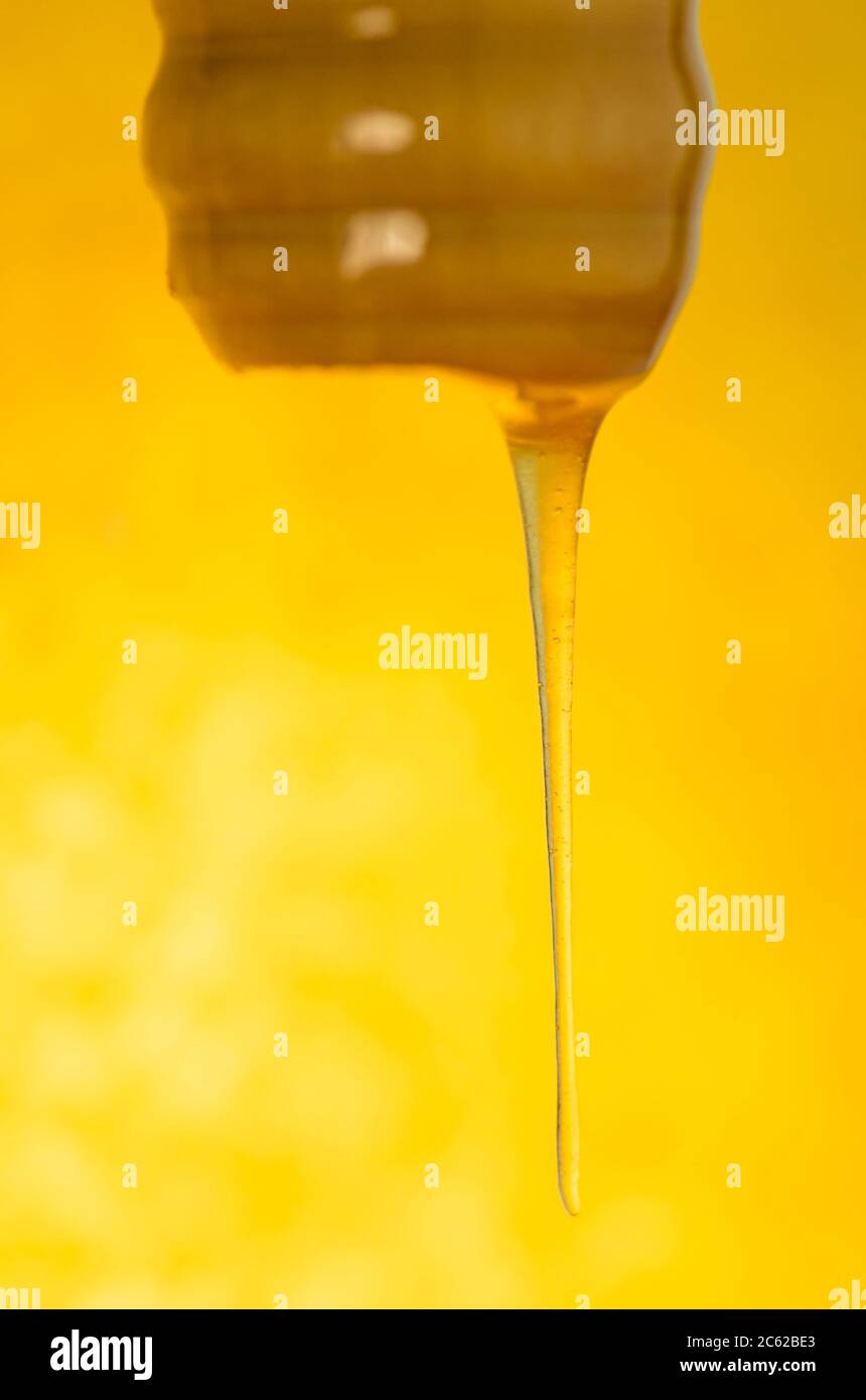 Melted caramel dripping. Pouring stream of caramel sauce. Hot sweet ...