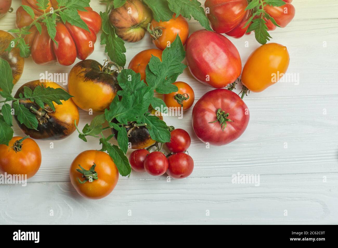 Different colorful tomatoes on wooden background. Organic tomatoes mix ...