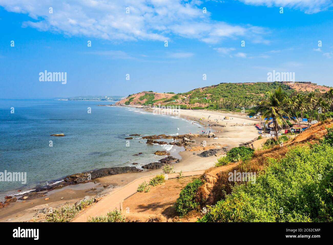 Vagator or Ozran beach with palms aerial panoramic view in north Goa ...