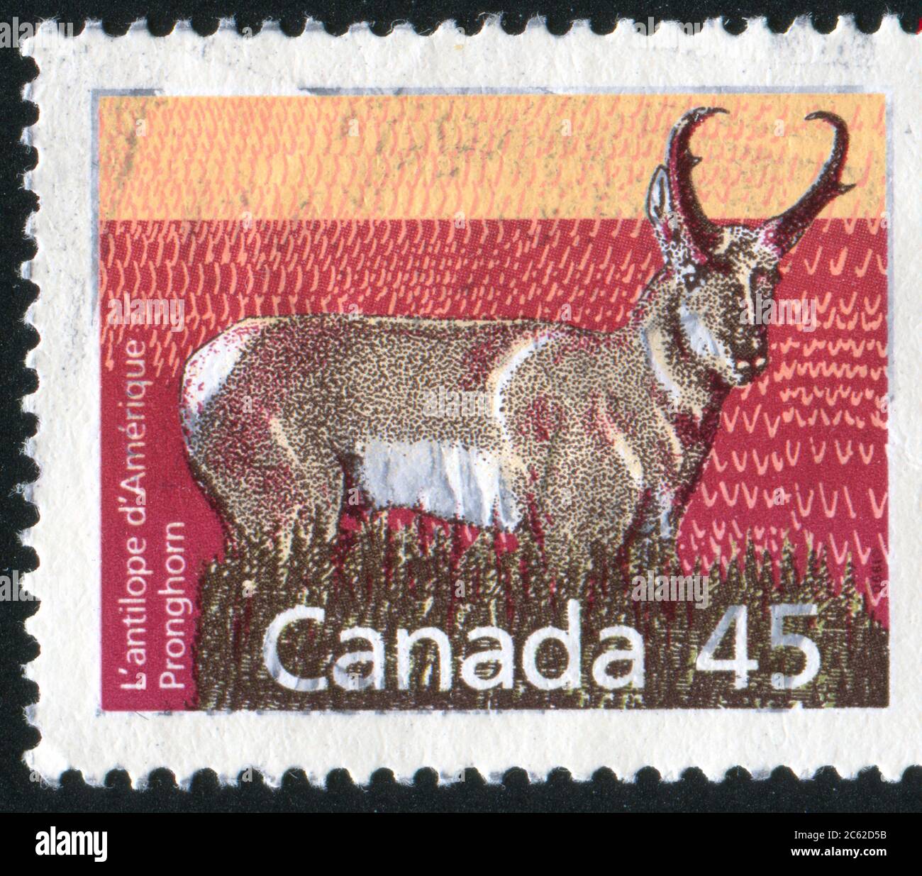 CANADA - CIRCA 1982: stamp printed by Canada, shows Deer, circa 1982 ...