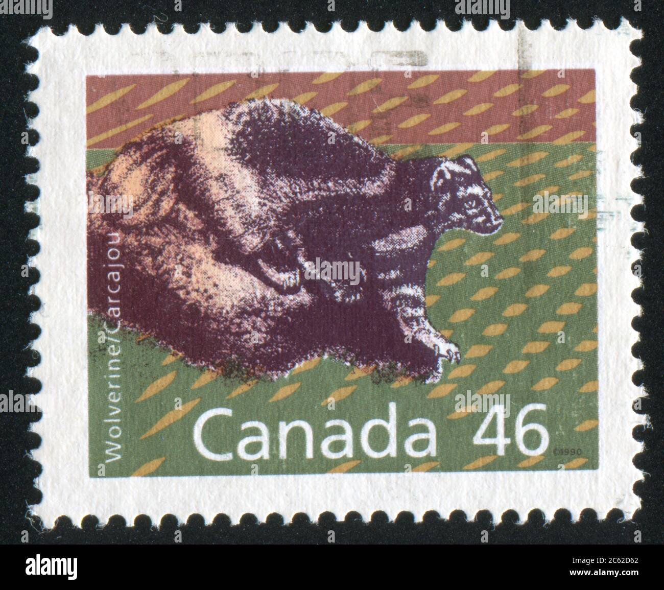 CANADA - CIRCA 1982: stamp printed by Canada, shows Wolverine, circa ...