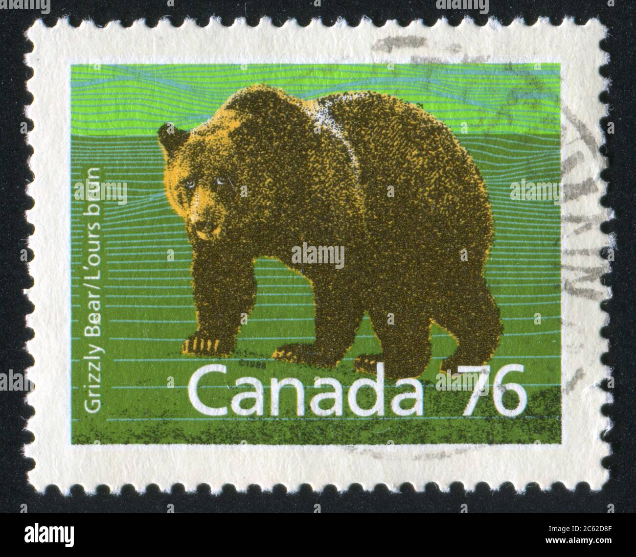 CANADA - CIRCA 1982: stamp printed by Canada, shows bear, circa 1982 ...