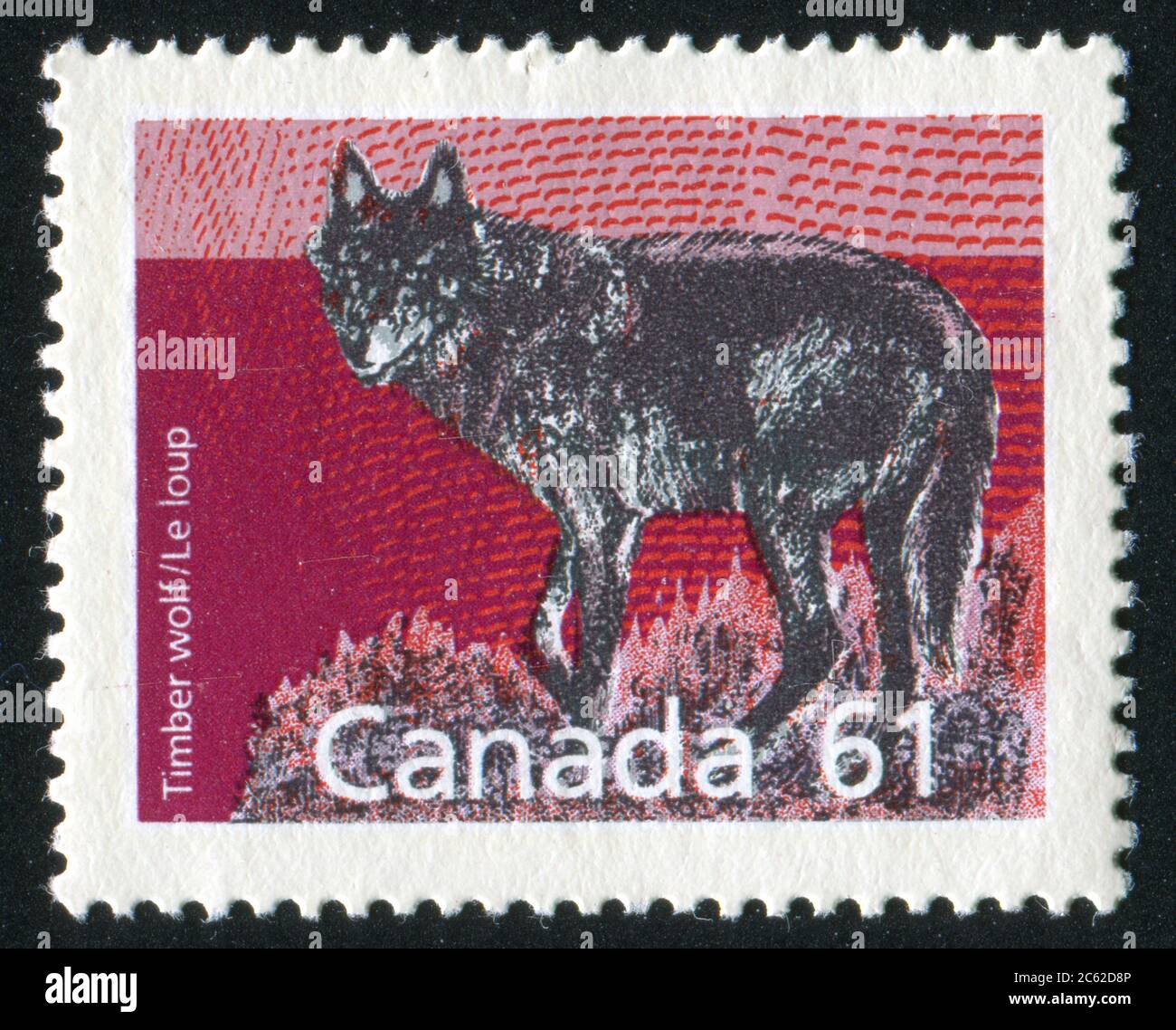 CANADA - CIRCA 1982: stamp printed by Canada, shows wolf, circa 1982 ...