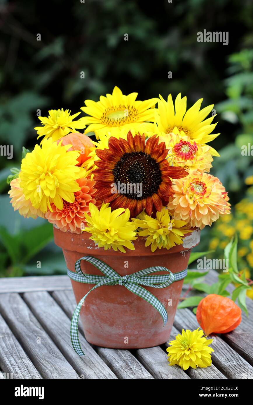 Flowers terracotta pot hi-res stock photography and images - Alamy