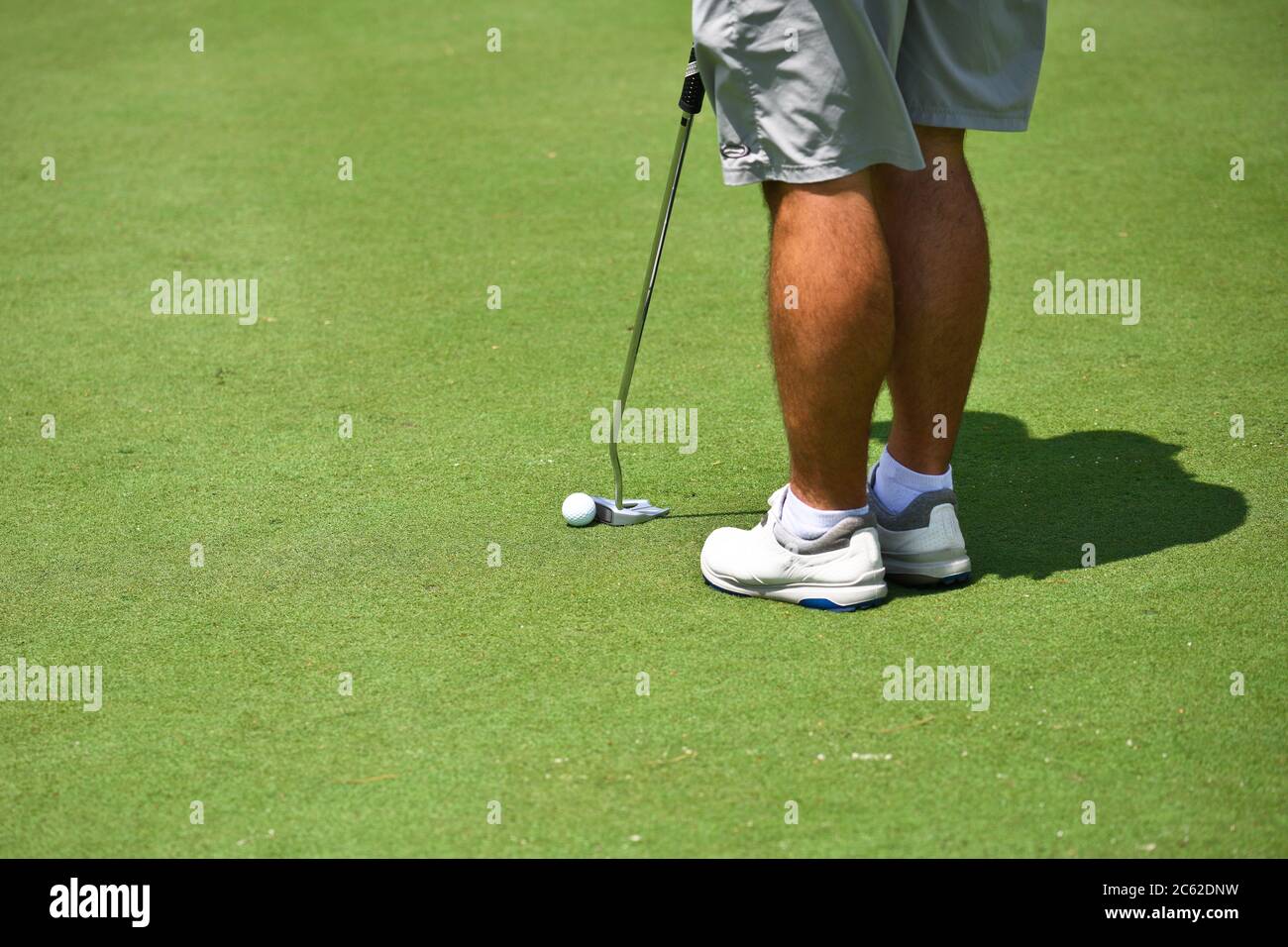 Young Man on the Golf Green getting into Position to make a Putt Stock ...