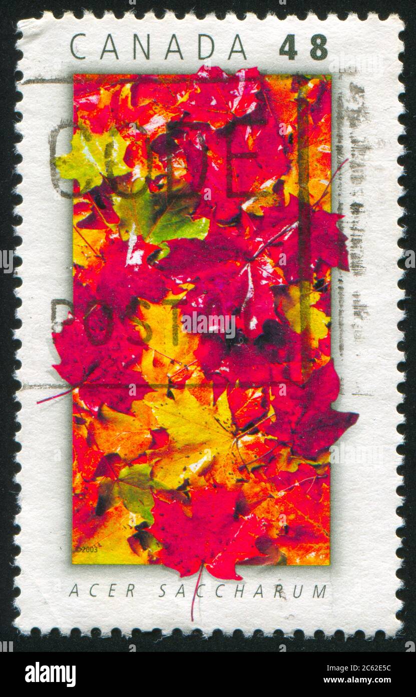 CANADA - CIRCA 2003: stamp printed by Canada, shows Trees, circa 2003 ...