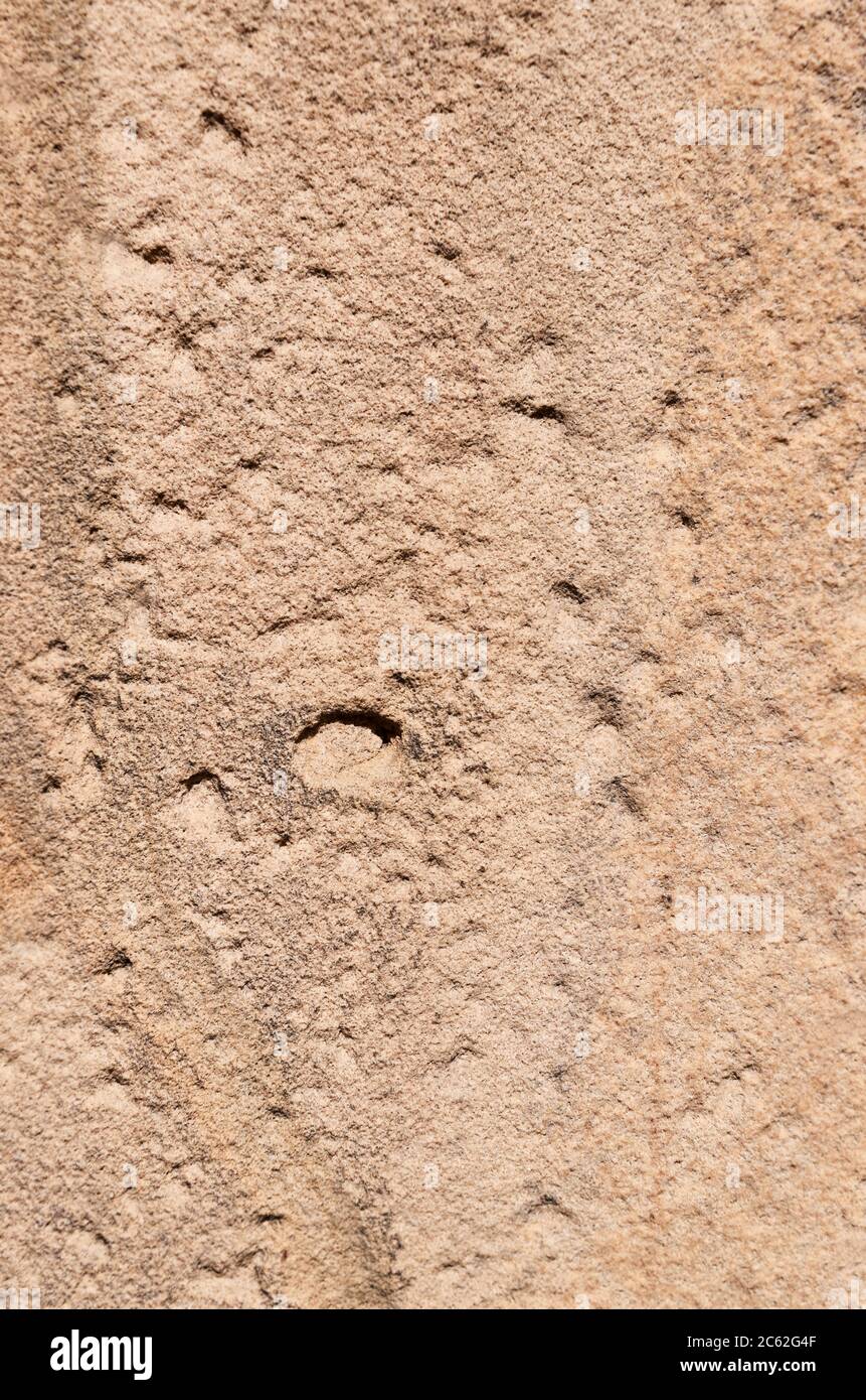 Sandstone background. Front view. Close up Stock Photo - Alamy