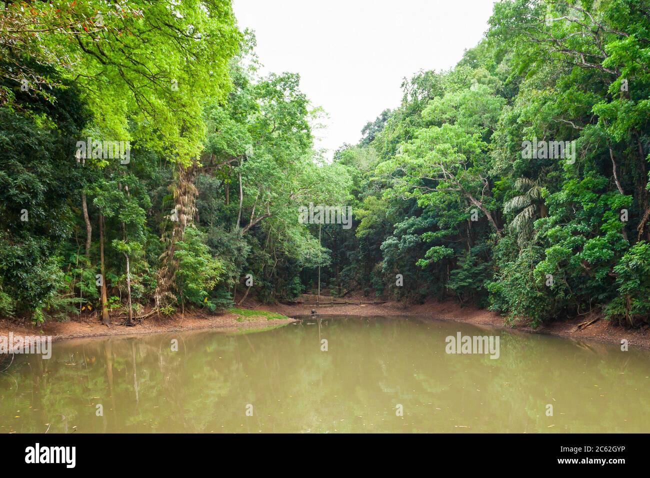 Royal Pond in Kandy Udawatta Kele Royal Forest Park or Udawattakele ...