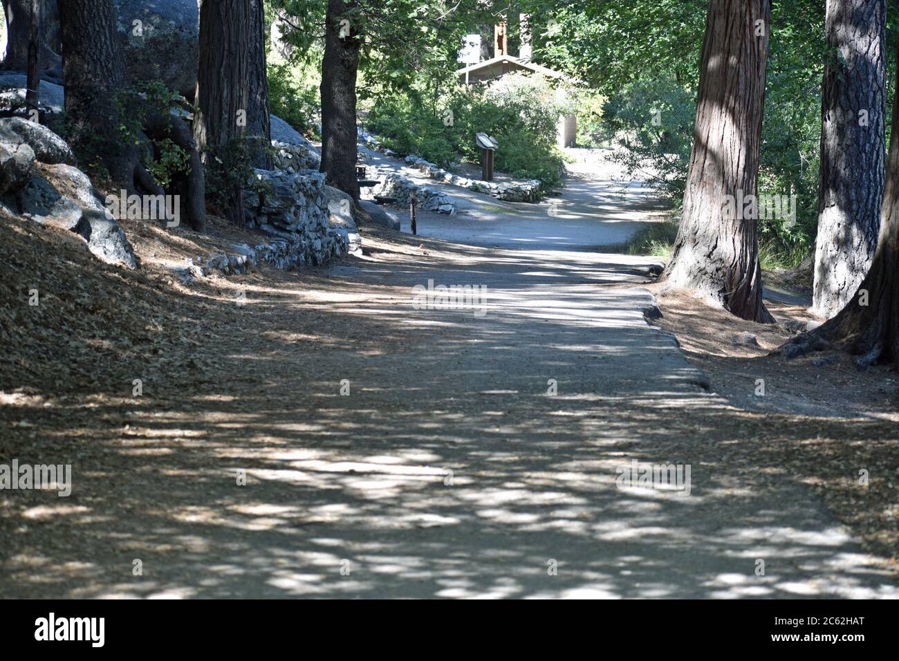 Tree lined path rocks hi-res stock photography and images - Alamy