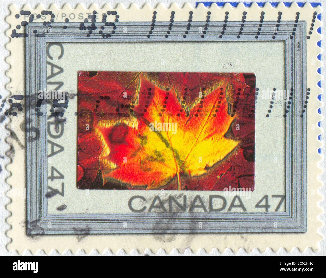 CANADA - CIRCA 2000: stamp printed by Canada, shows leaf, circa 2000 ...