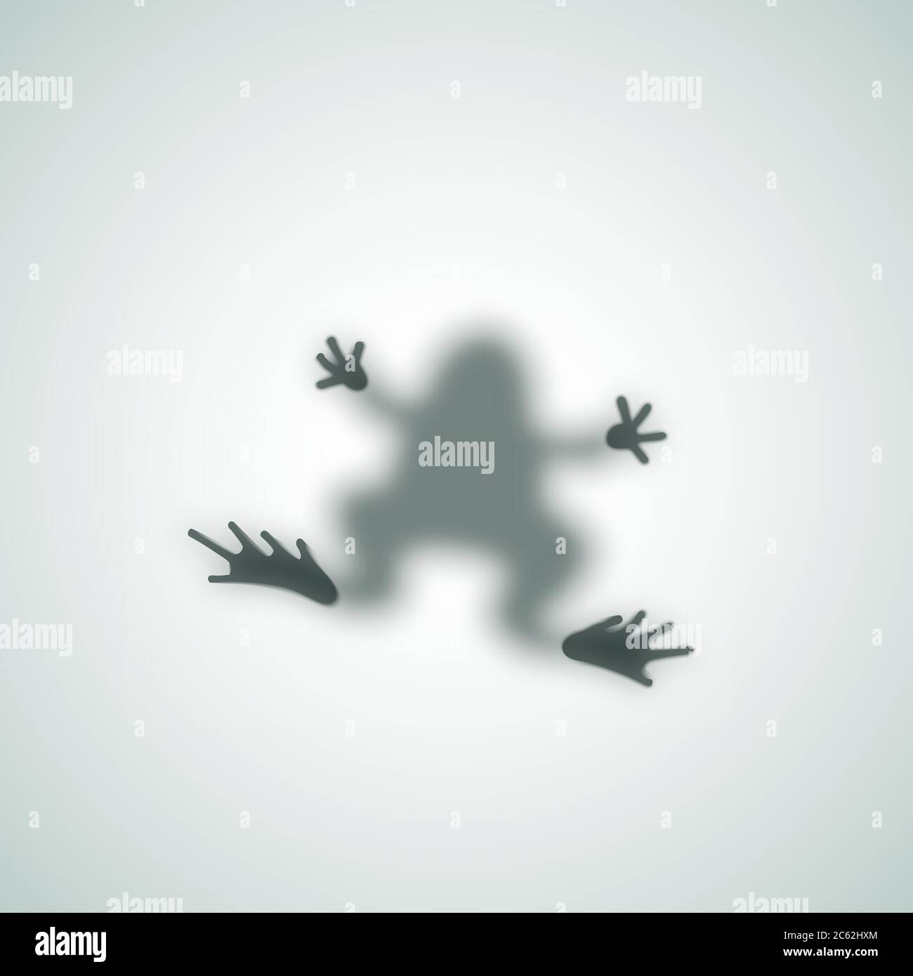 Diffuse Toad Silhouette Shadow Abstract Vector Image. Frog Sitting on a ...