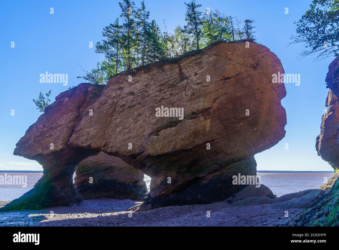 Elephant rock formation canada hi-res stock photography and images - Alamy