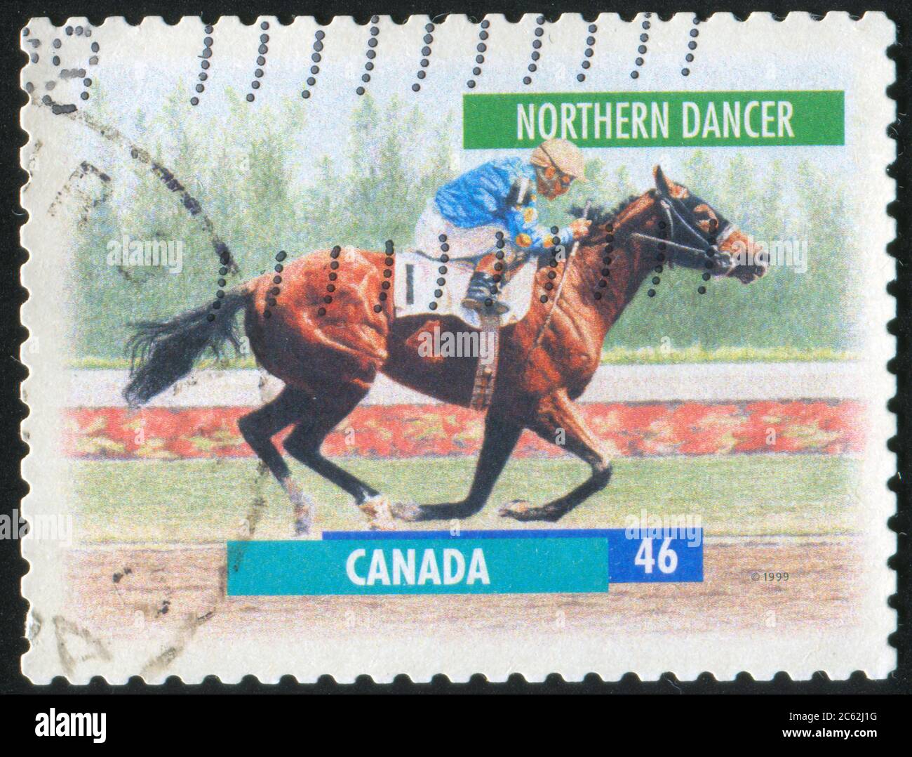 CANADA - CIRCA 1999: stamp printed by Canada, shows horse, circa 1999 ...