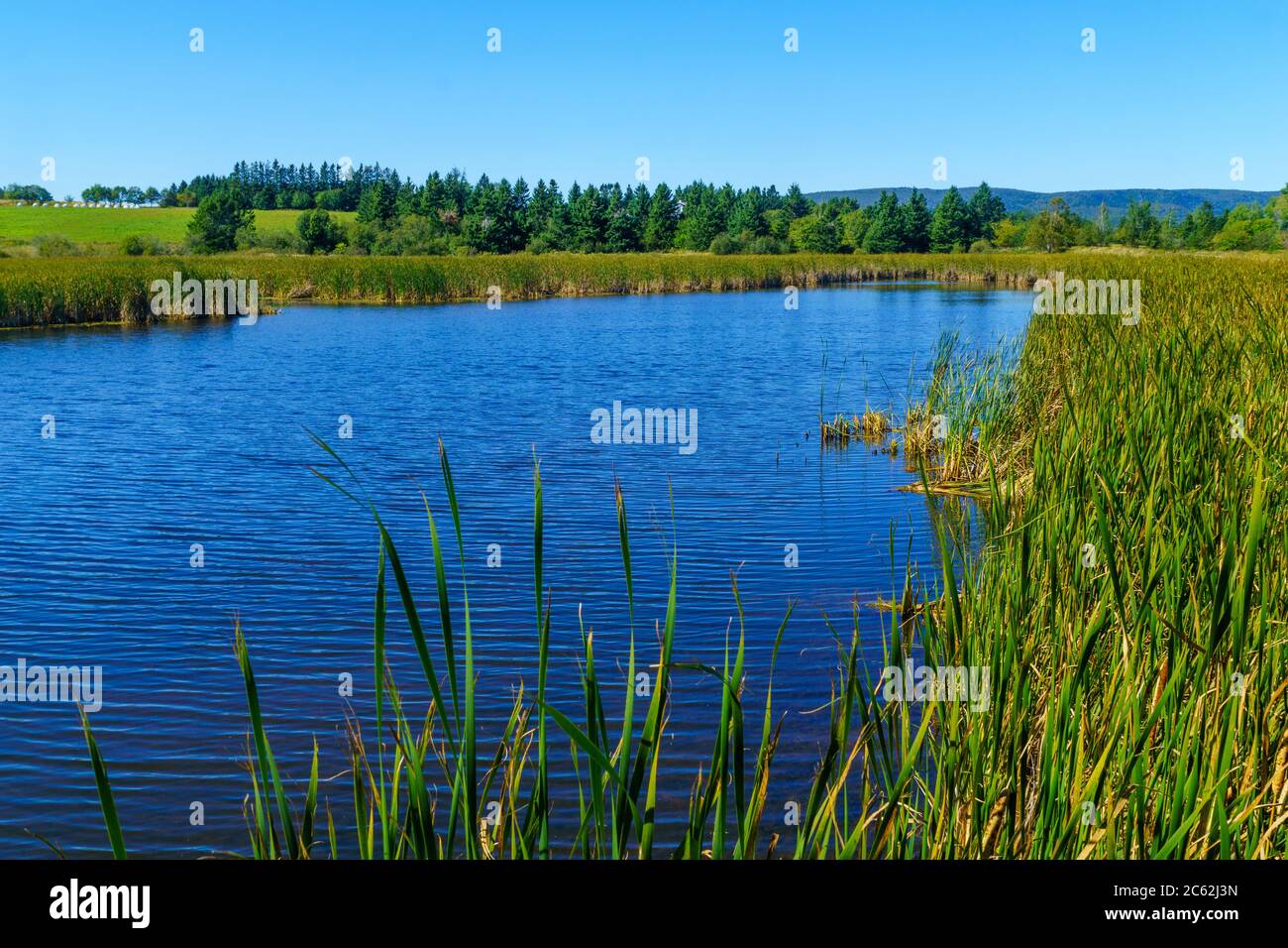 Shepody New Brunswick High Resolution Stock Photography and Images - Alamy