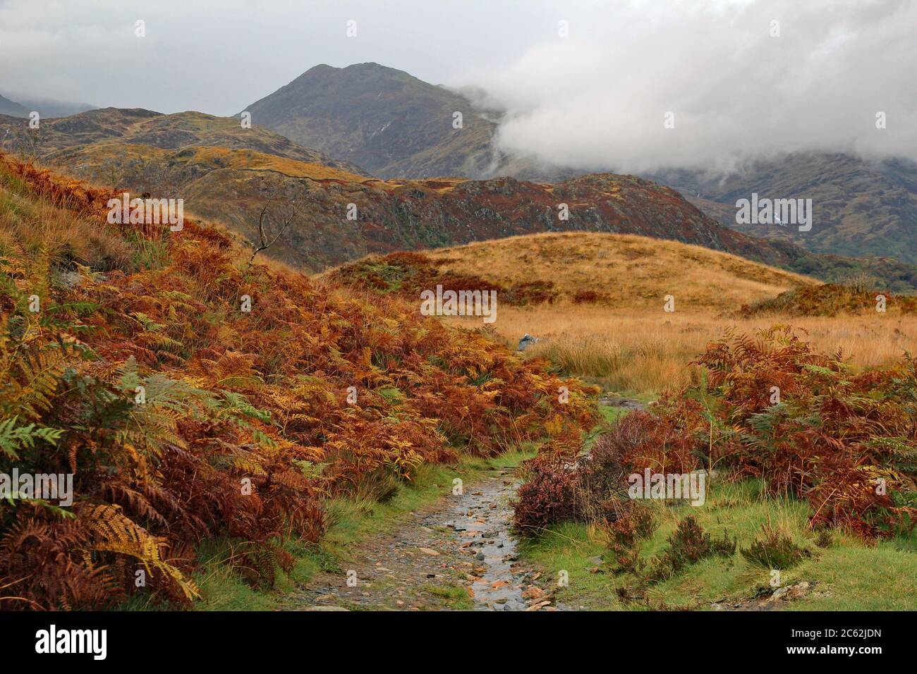 Cwm bychan hi-res stock photography and images - Alamy