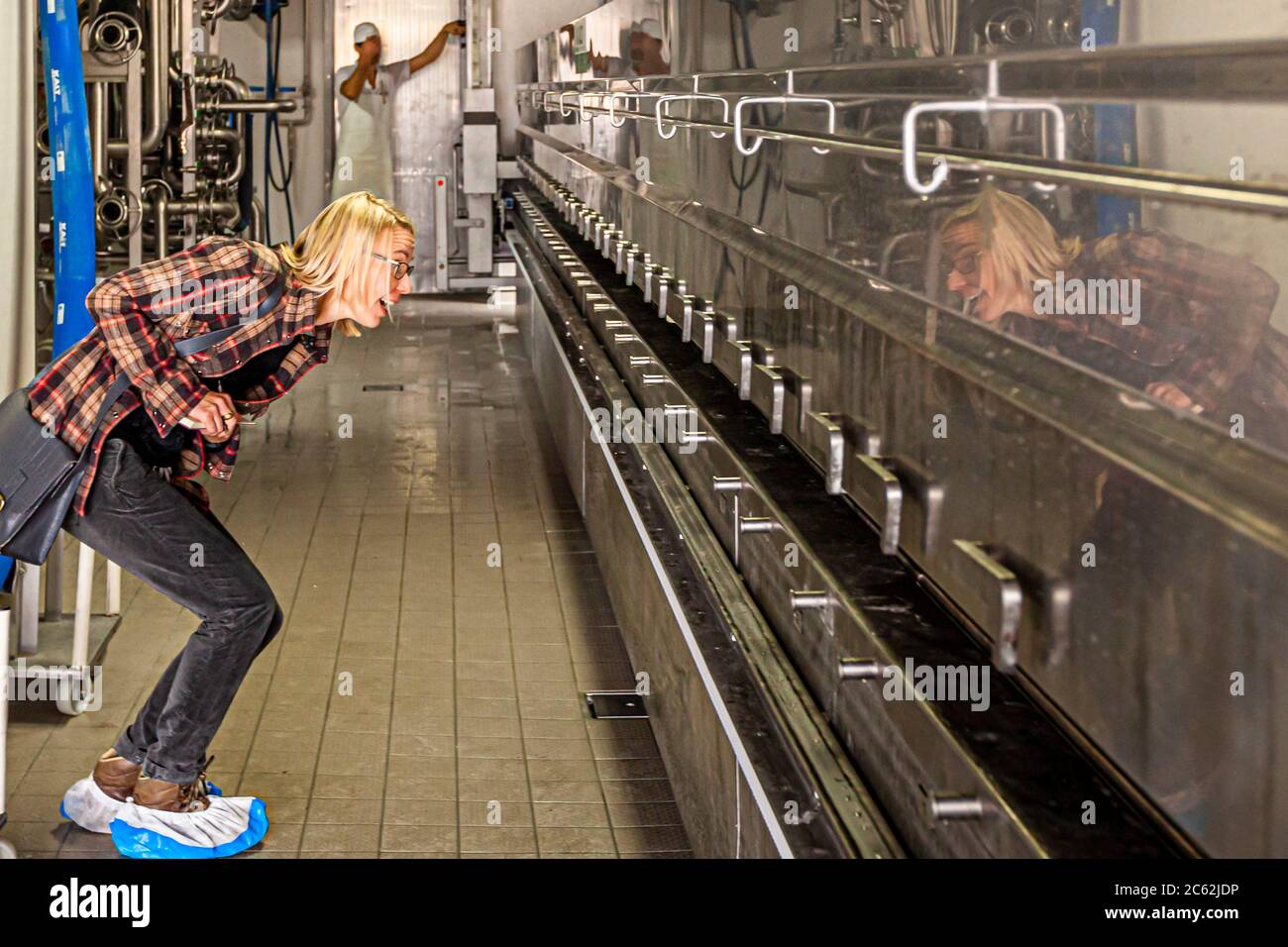 The cheeses are shaped in the press tub. Cheese-Factory in Hittisau ...