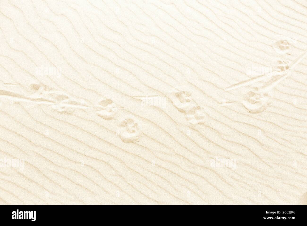 Close up view of color stripes made by water waves. Sand stripes ...