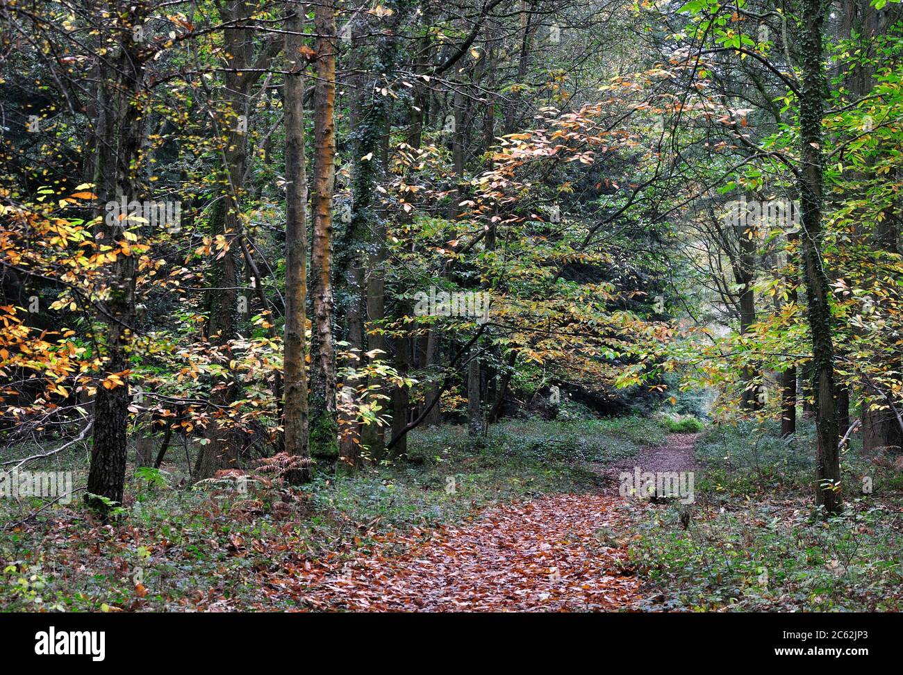 Little dean hi-res stock photography and images - Alamy