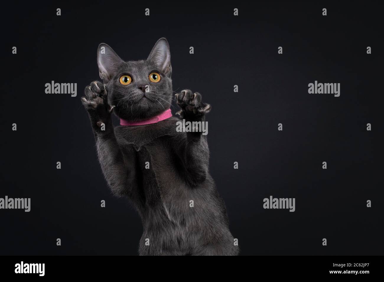 Baby reaching camera hi-res stock photography and images - Alamy