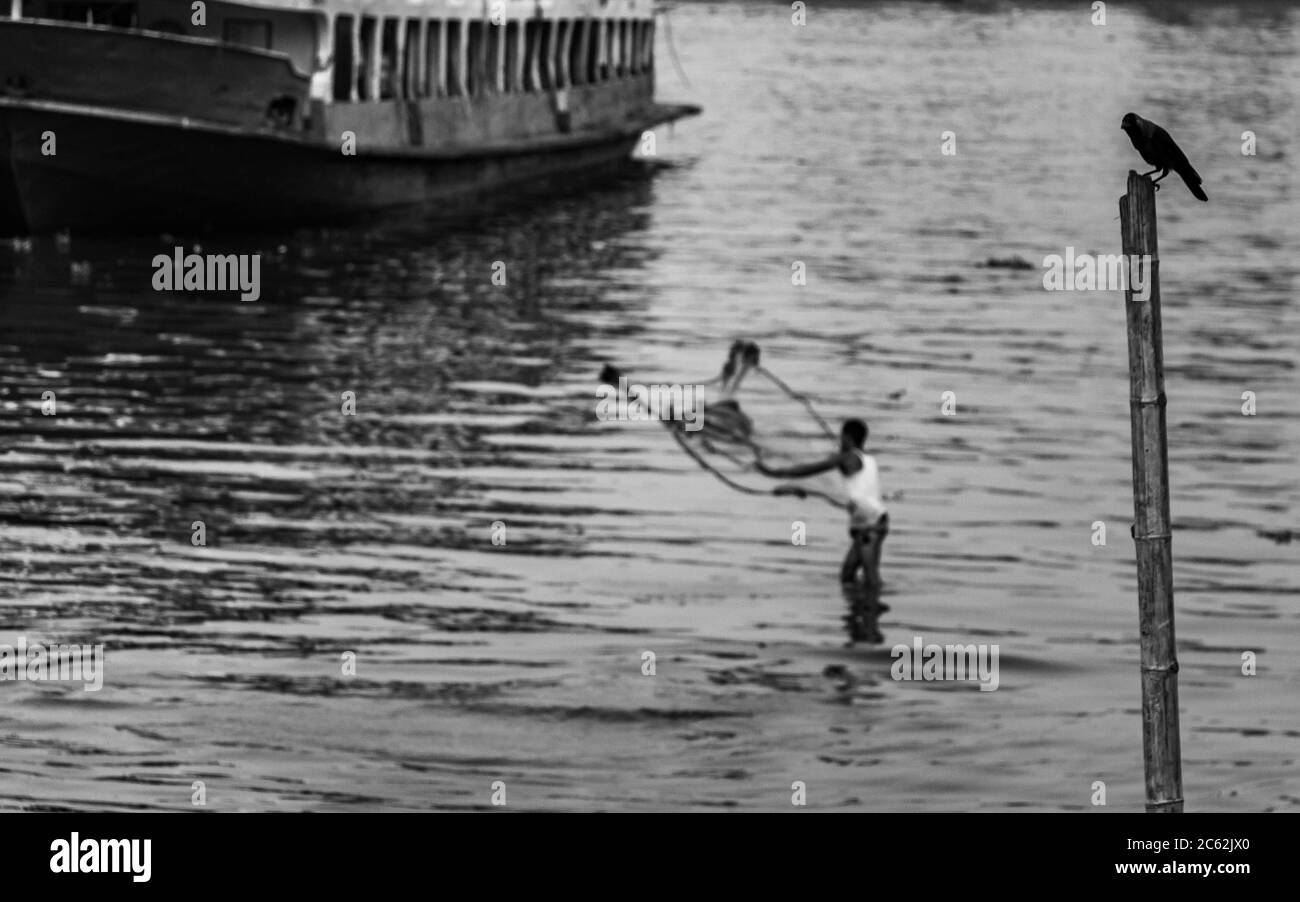 Black crow bamboo Black and White Stock Photos & Images - Alamy
