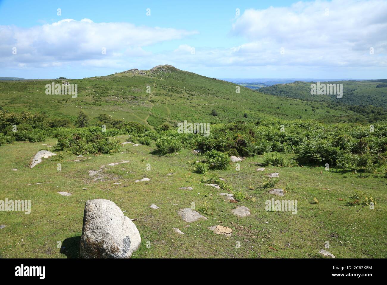 Sharp tor, Dartmoor, Devon, England, UK Stock Photo - Alamy