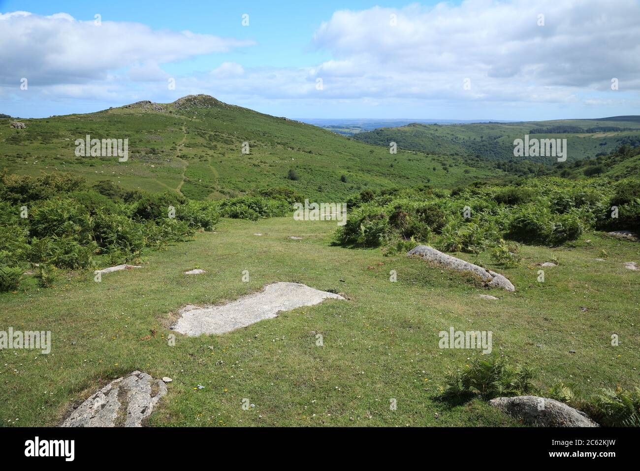 Sharp tor, Dartmoor, Devon, England, UK Stock Photo - Alamy