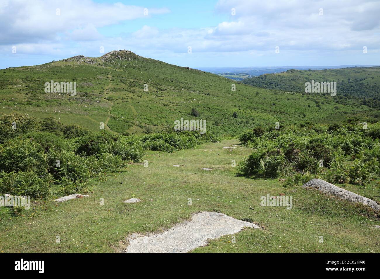 Sharp tor, Dartmoor, Devon, England, UK Stock Photo - Alamy