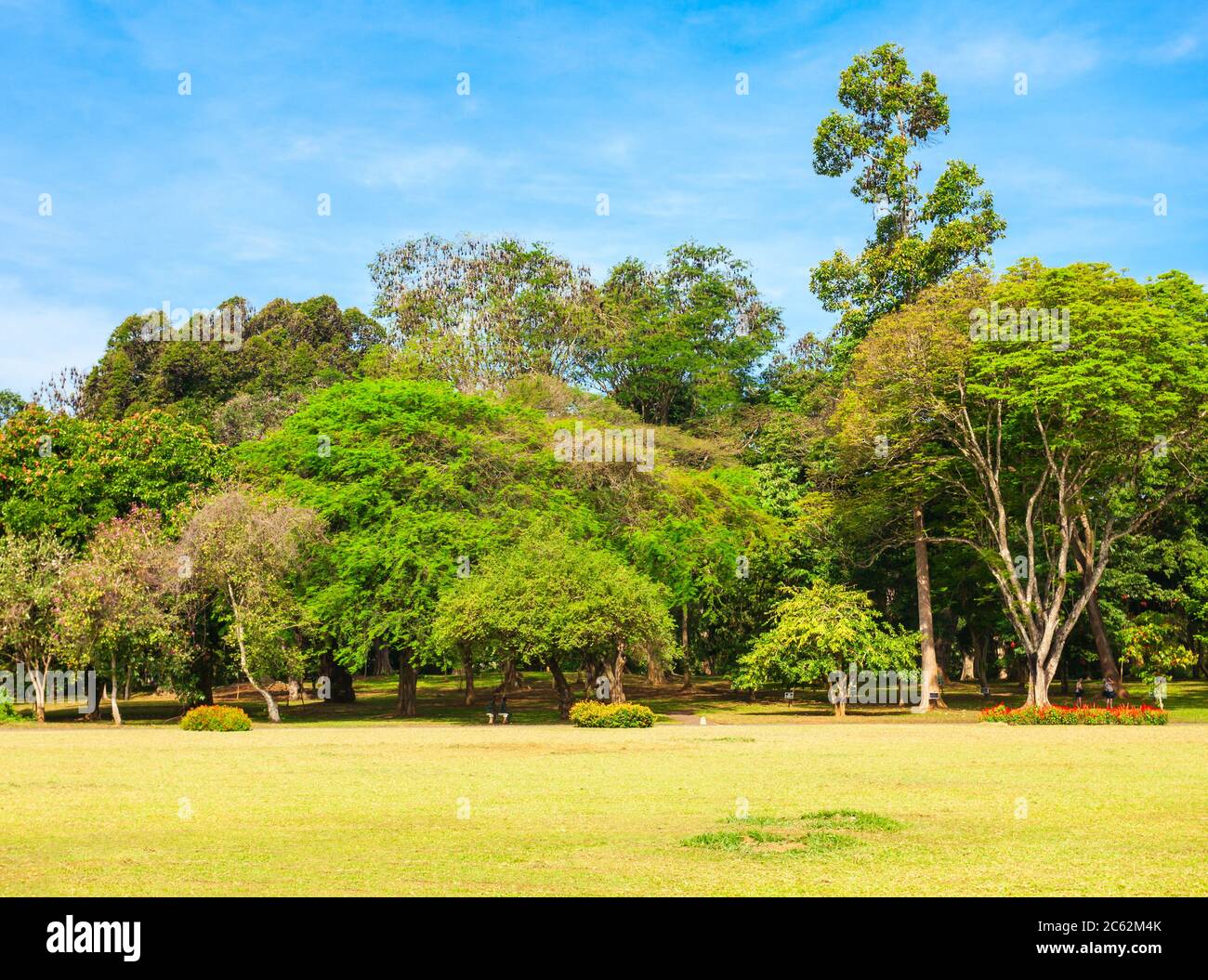 Peradeniya Royal Botanic Gardens located near Kandy city, Sri Lanka ...
