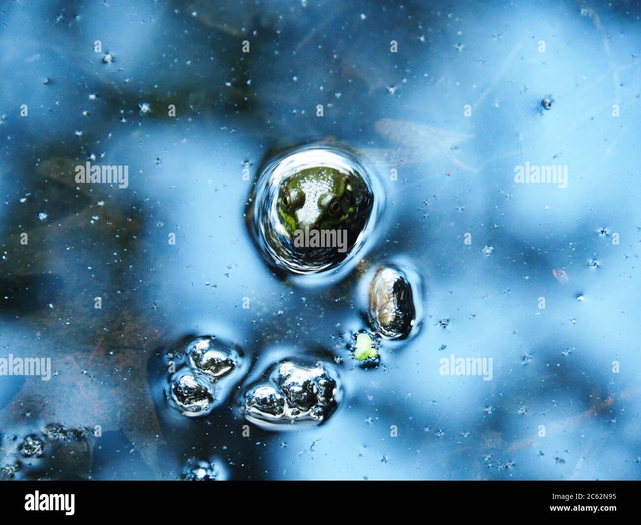 Bulging shapes hi-res stock photography and images - Alamy