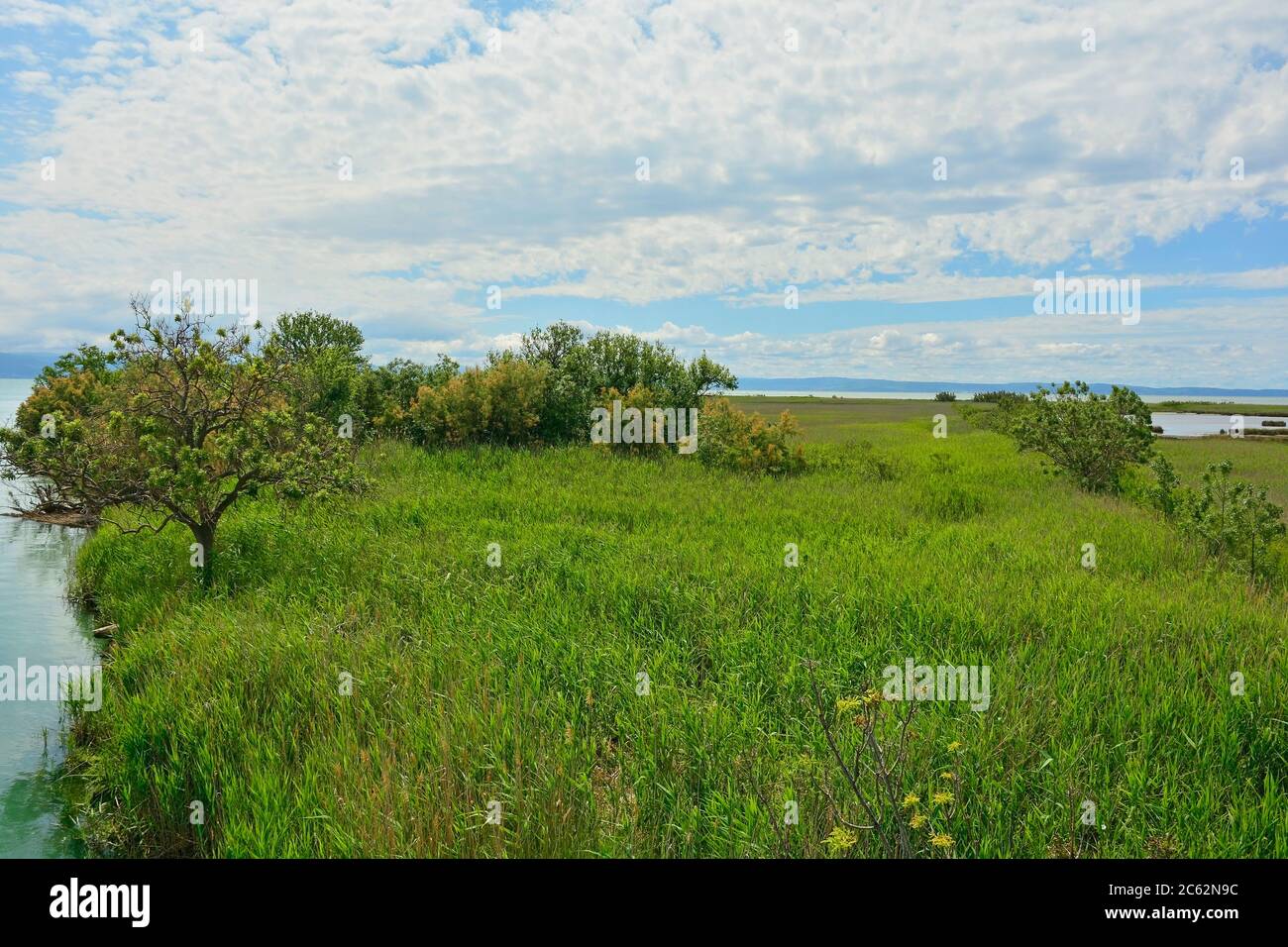 The wetlands of Isola Della Cona in Friuli-Venezia Giulia, north east ...