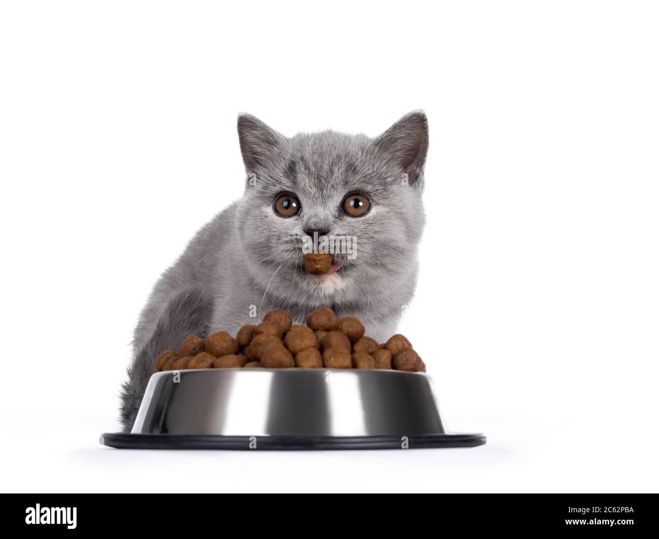 R eating Cut Out Stock Images & Pictures - Alamy