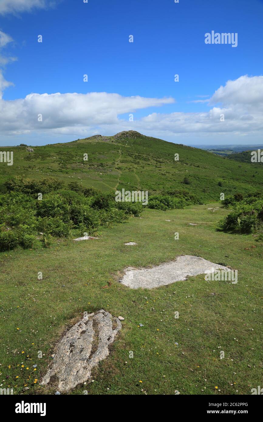 Sharp tor, Dartmoor, Devon, England, UK Stock Photo - Alamy