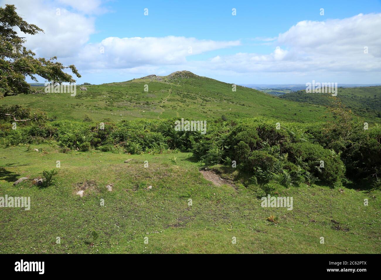 Sharp tor, Dartmoor, Devon, England, UK Stock Photo - Alamy