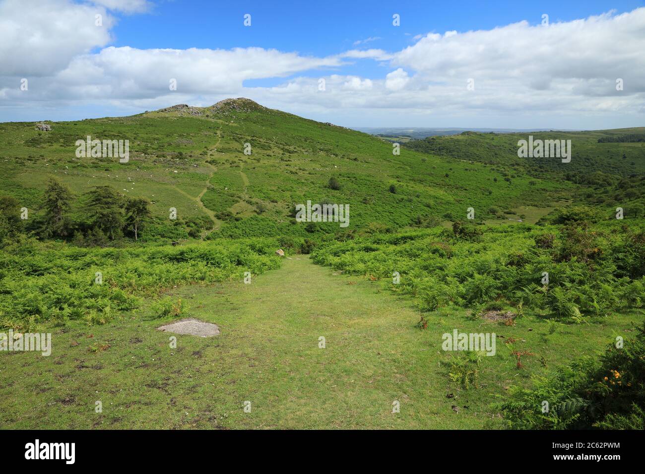 Sharp tor, Dartmoor, Devon, England, UK Stock Photo - Alamy