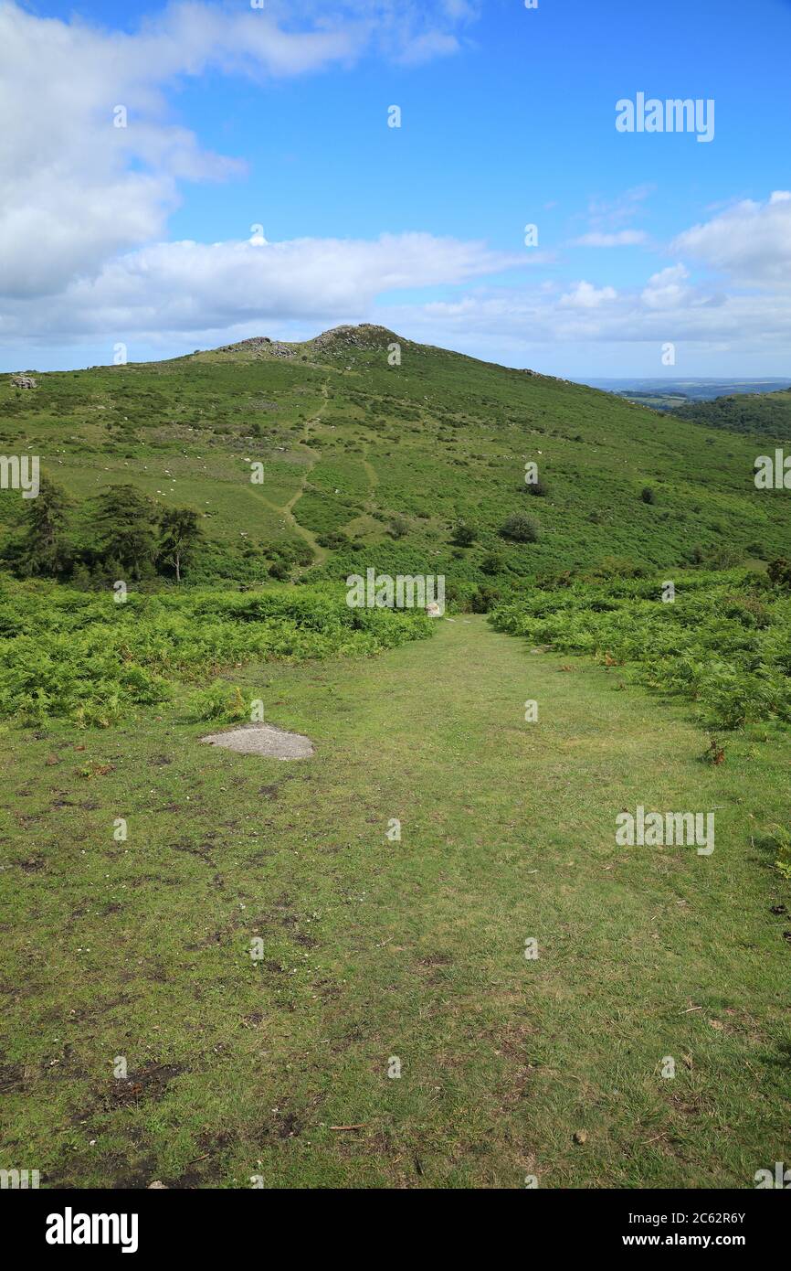 Sharp tor, Dartmoor, Devon, England, UK Stock Photo - Alamy