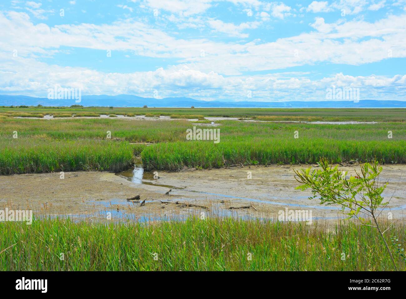 The wetlands of Isola Della Cona in Friuli-Venezia Giulia, north east ...