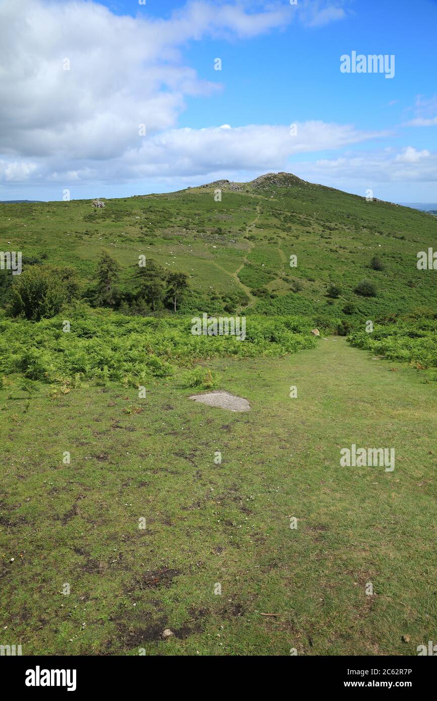 Sharp tor, Dartmoor, Devon, England, UK Stock Photo - Alamy