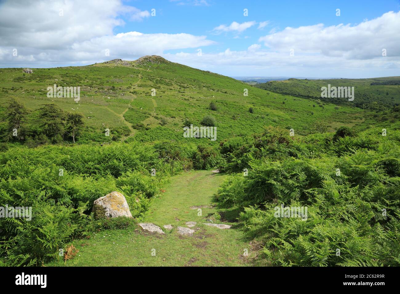 Sharp tor, Dartmoor, Devon, England, UK Stock Photo - Alamy