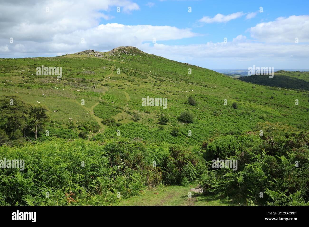 Sharp tor, Dartmoor, Devon, England, UK Stock Photo - Alamy